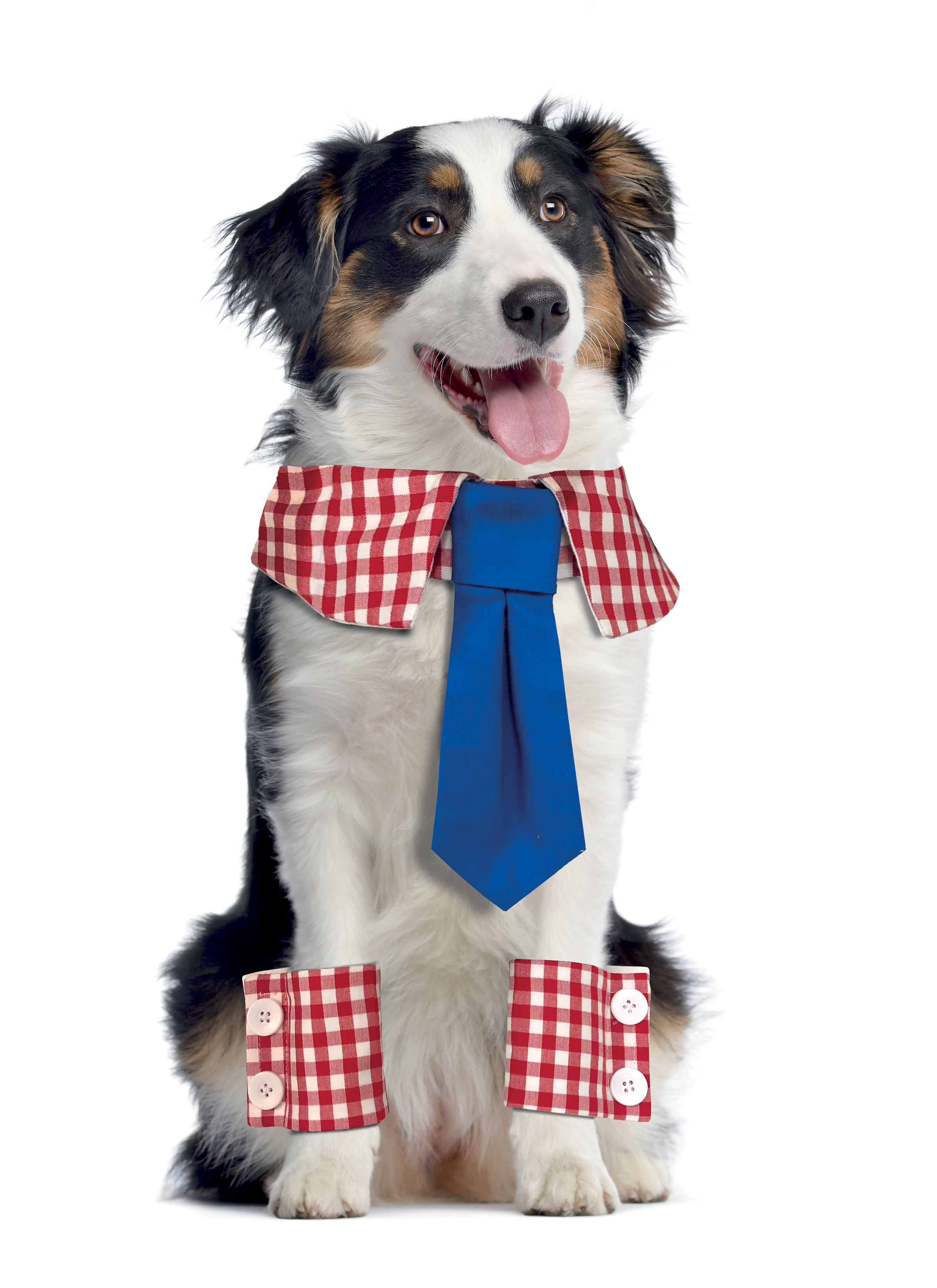 Kwik Sew sewing pattern K4275 Charming dog costume for the perfect app ...